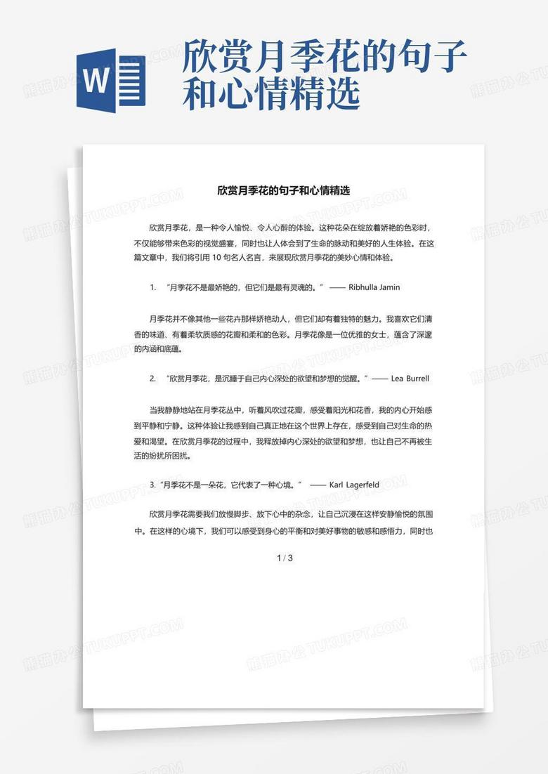 欣赏月季花的句子和心情精选 Word模板下载 编号qvwdgrrz 熊猫办公