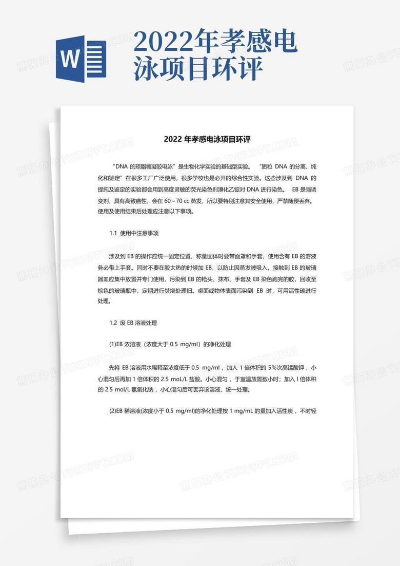 2022年孝感电泳项目环评Word模板下载 编号qkmdzzrk 熊猫办公