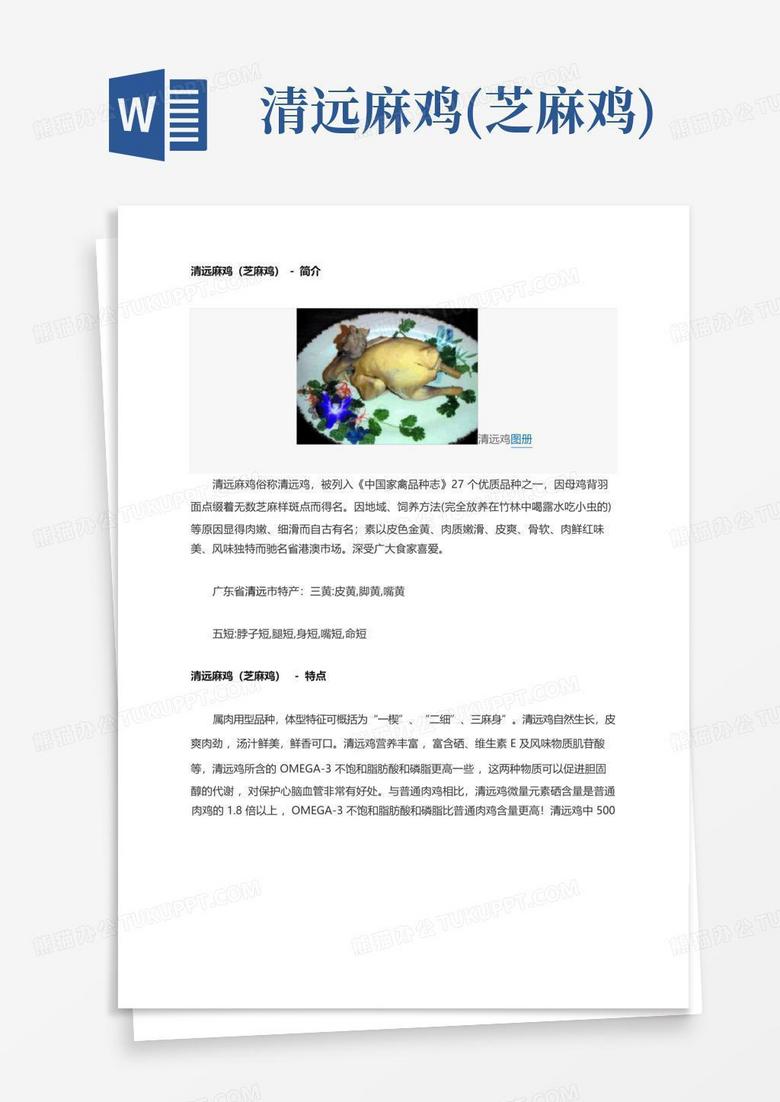 清远麻鸡 芝麻鸡 Word模板下载 编号qvwbvvko 熊猫办公