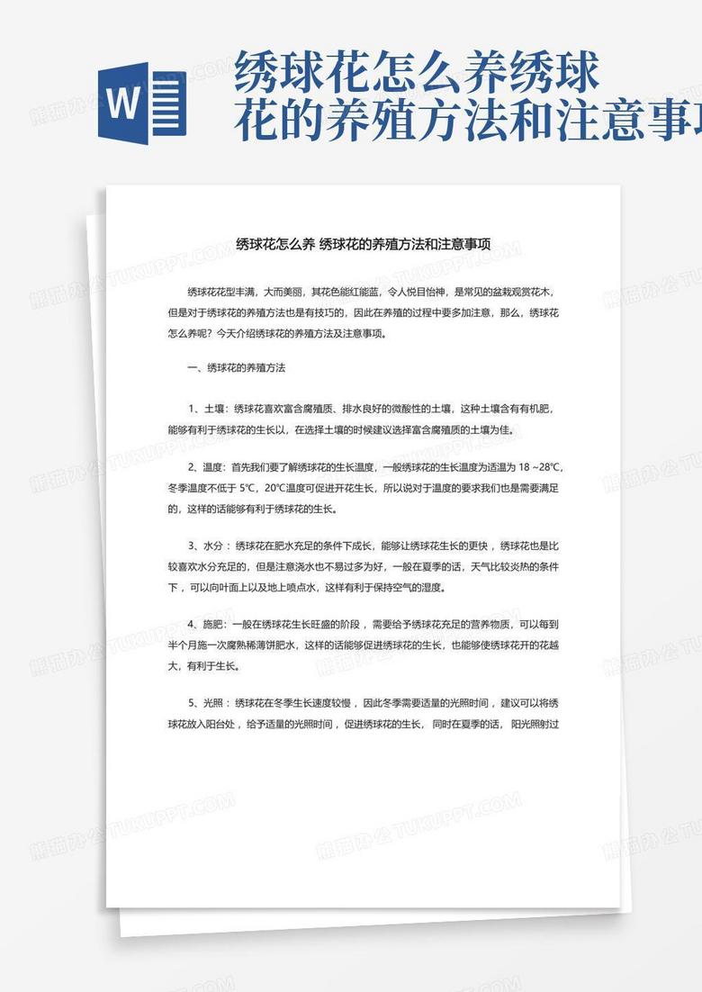 绣球花怎么养绣球花的养殖方法和注意事项Word模板下载 编号qvwnkwdd 熊猫办公