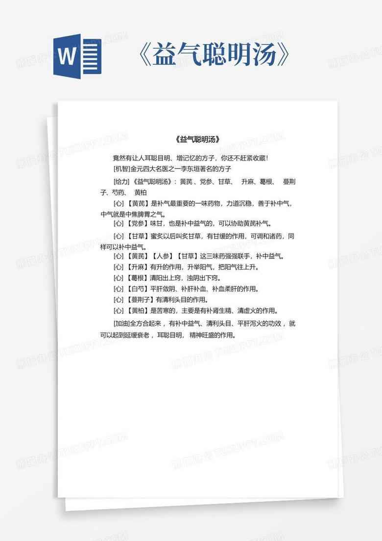 益气聪明汤Word模板下载 编号lbzakjyn 熊猫办公