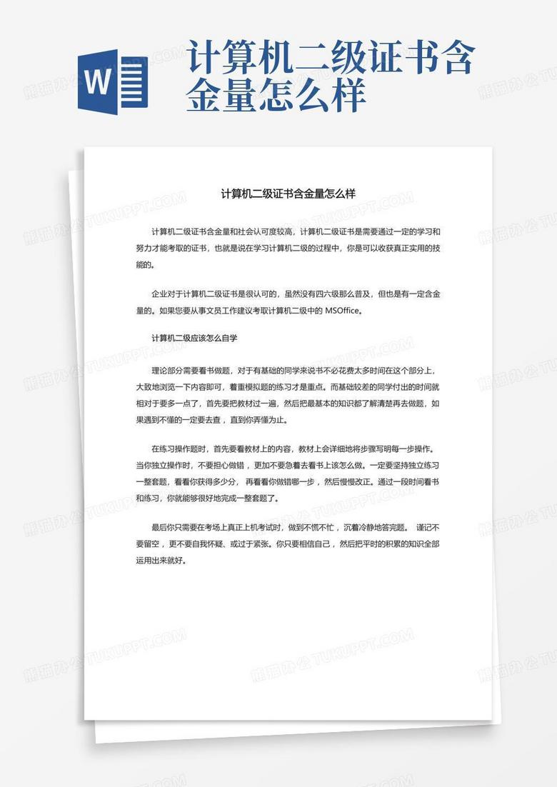 计算机二级证书含金量怎么样Word模板下载 编号lndxmmjk 熊猫办公