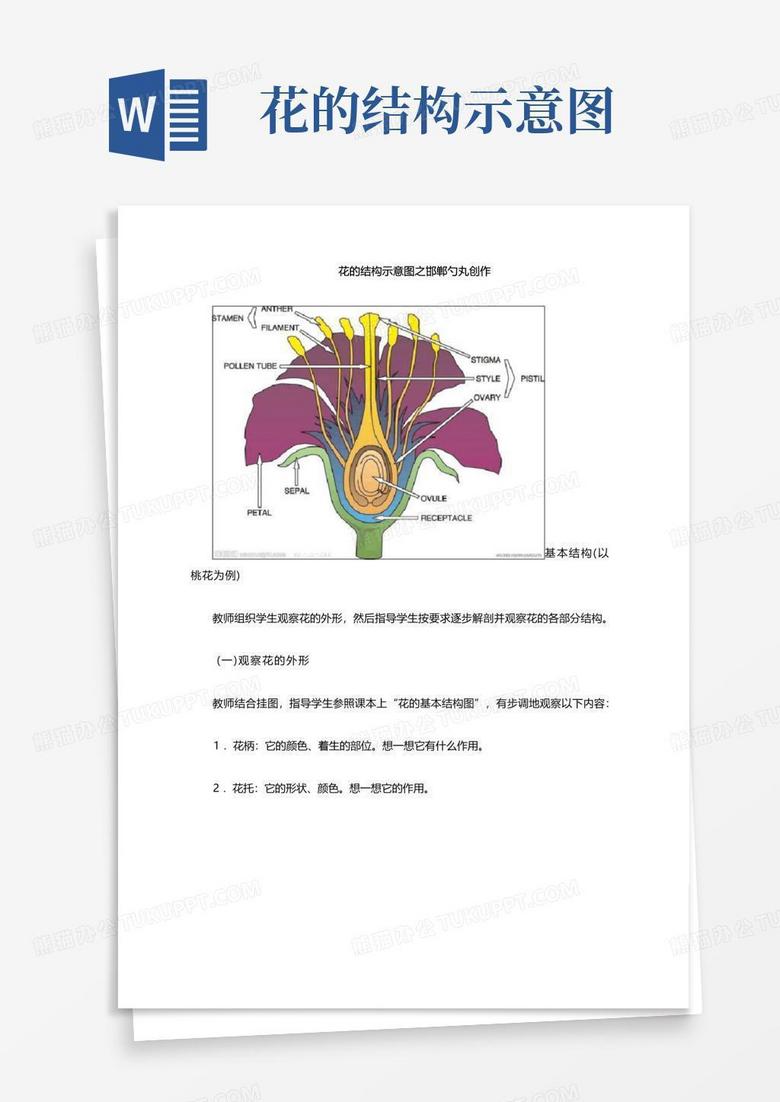 花的结构示意图 Word模板下载 编号qkdkzkyr 熊猫办公