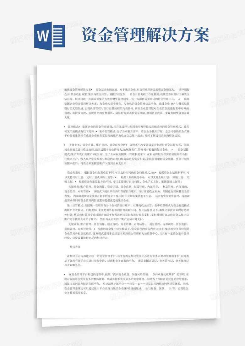 资金管理解决方案Word模板下载 编号qnxzmrzn 熊猫办公