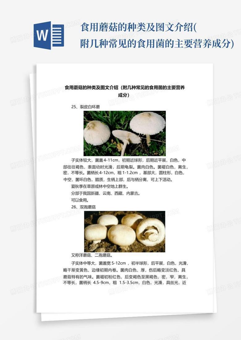 食用蘑菇的种类及图文介绍 附几种常见的食用菌的主要营养成分 Word模板下载 编号lxvjgkda 熊猫办公