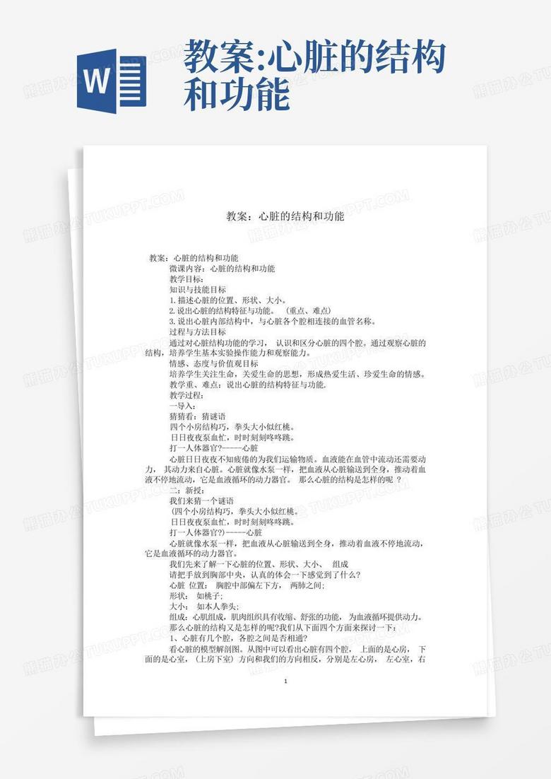 教案 心脏的结构和功能Word模板下载 编号ldbapjeg 熊猫办公