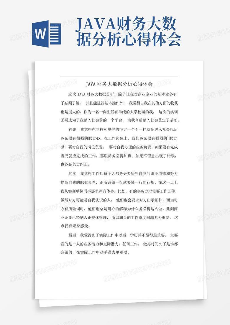 java财务大数据分析心得体会Word模板下载 编号lownvwnz 熊猫办公