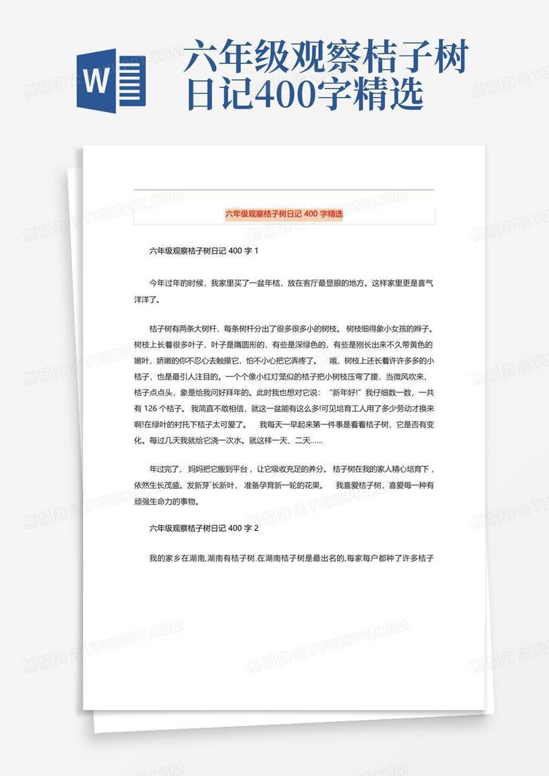六年级观察桔子树日记400字精选 Word模板下载 编号lxbjoogd 熊猫办公