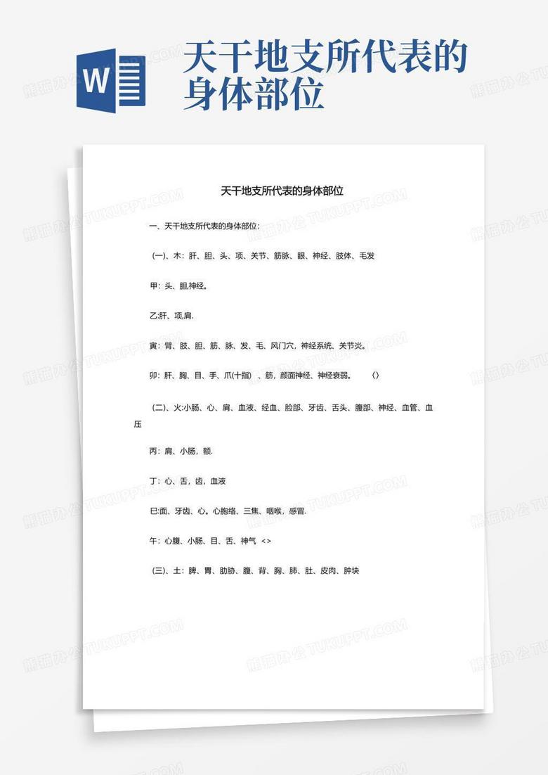 天干地支所代表的身体部位Word模板下载 编号lanprmzy 熊猫办公
