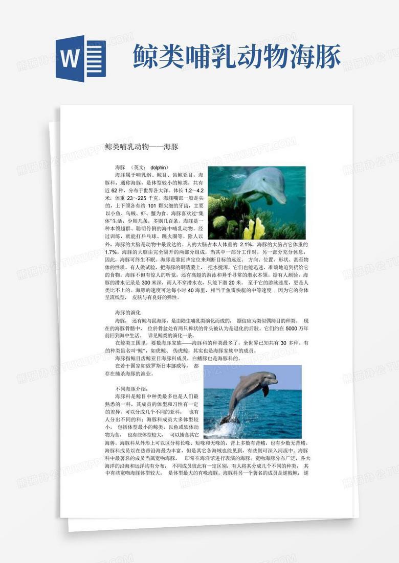 鲸类哺乳动物 海豚 Word模板下载 编号qnmypdod 熊猫办公