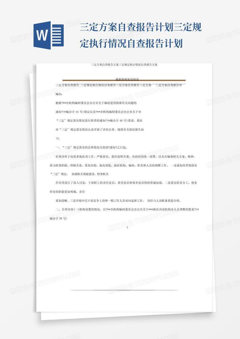 三定方案自查报告计划三定规定执行情况自查报告计划Word模板下载 编号laynkbna 熊猫办公