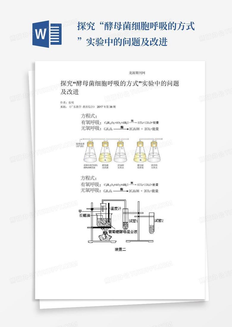 探究酵母菌细胞呼吸的方式实验中的问题及改进Word模板下载 编号qgyyjvmb 熊猫办公