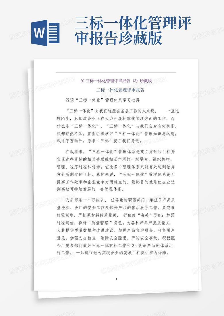 三标一体化管理评审报告珍藏版Word模板下载 编号lvrbnwvn 熊猫办公