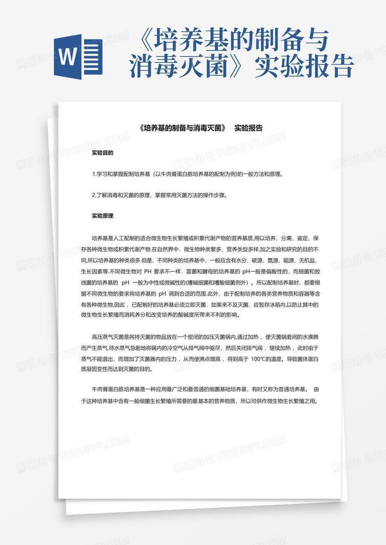 培养基的制备与消毒灭菌实验报告Word模板下载 编号qobmozge 熊猫办公