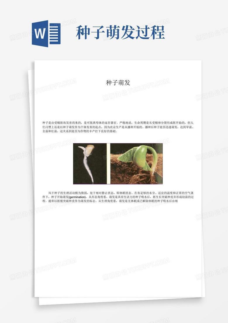 种子萌发过程Word模板下载 编号lyvoxybn 熊猫办公