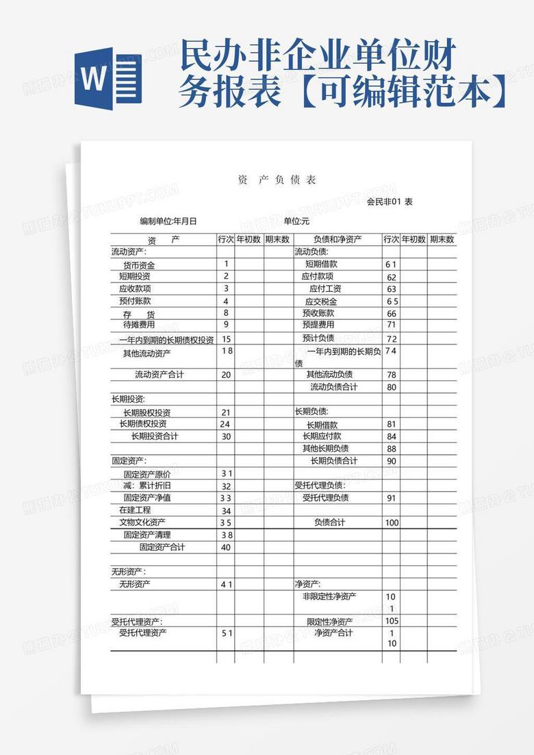 民办非企业单位财务报表可编辑范本Word模板下载 编号qndwpydm 熊猫办公