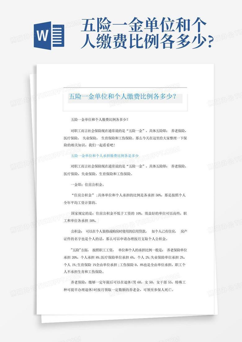 五险一金单位和个人缴费比例各多少 Word模板下载 编号qdmkvbyo 熊猫办公