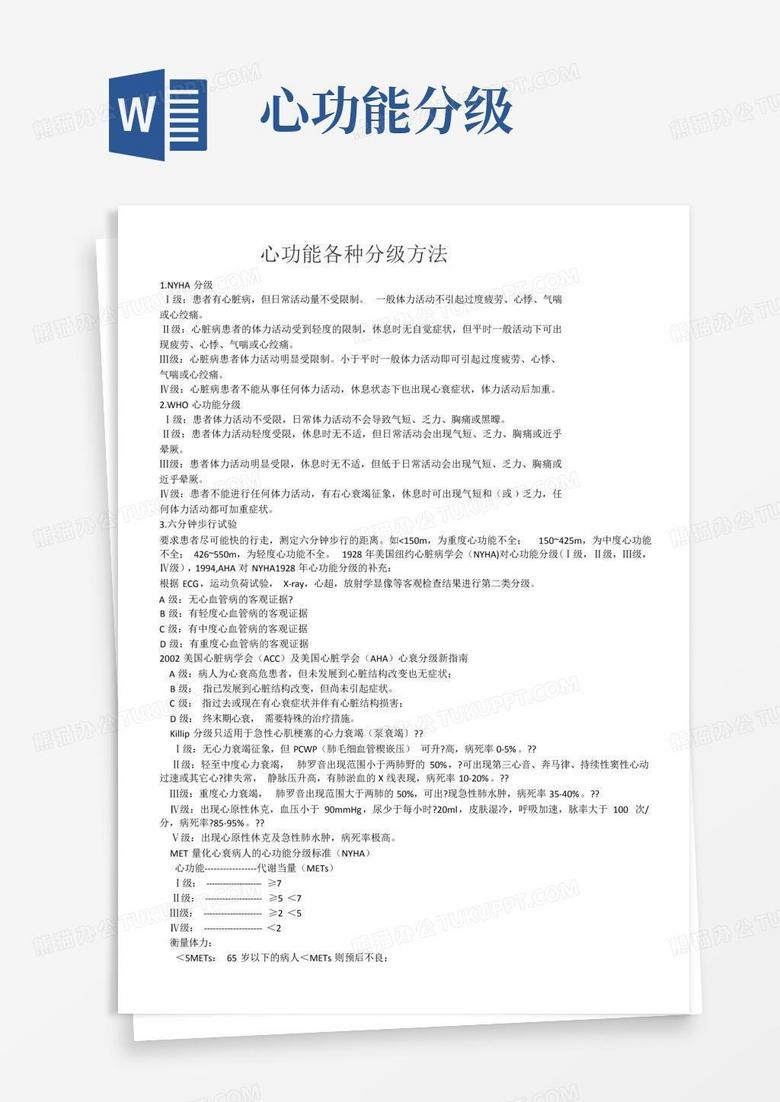 心功能分级Word模板下载 编号lxmmnkrm 熊猫办公