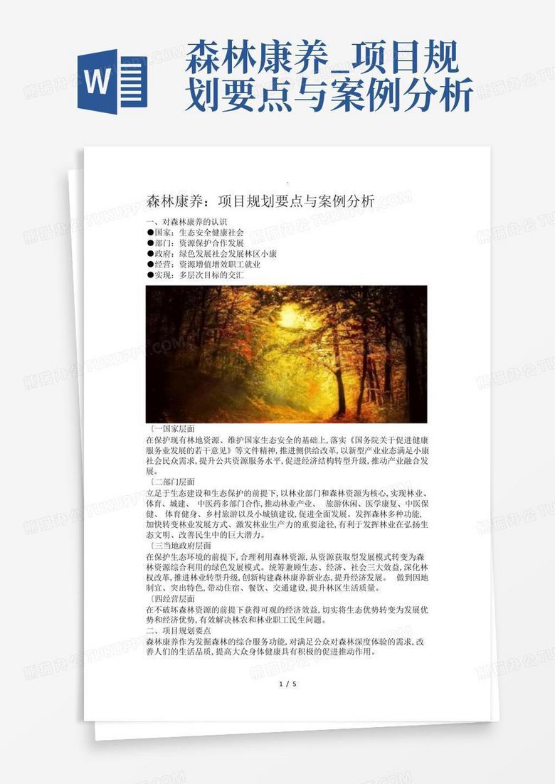森林康养 项目规划要点与案例分析Word模板下载 编号lrbbjnpm 熊猫办公
