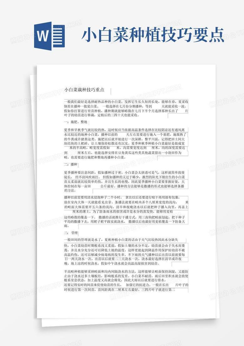 小白菜种植技巧要点Word模板下载 编号lgdzbyew 熊猫办公
