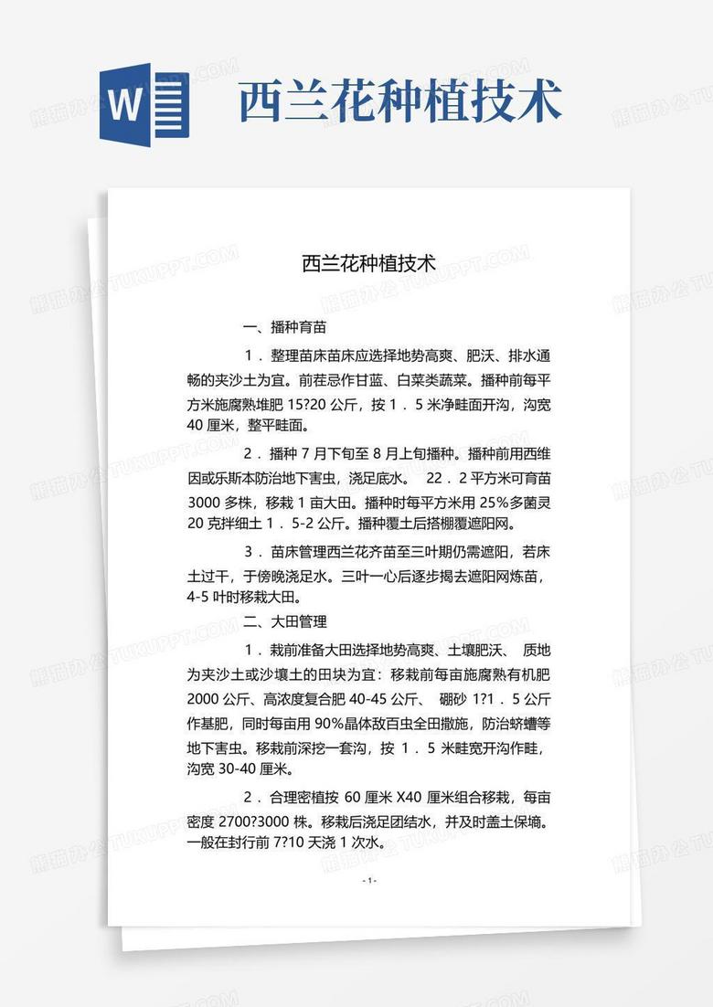 西兰花种植技术Word模板下载 编号qpzzkprg 熊猫办公
