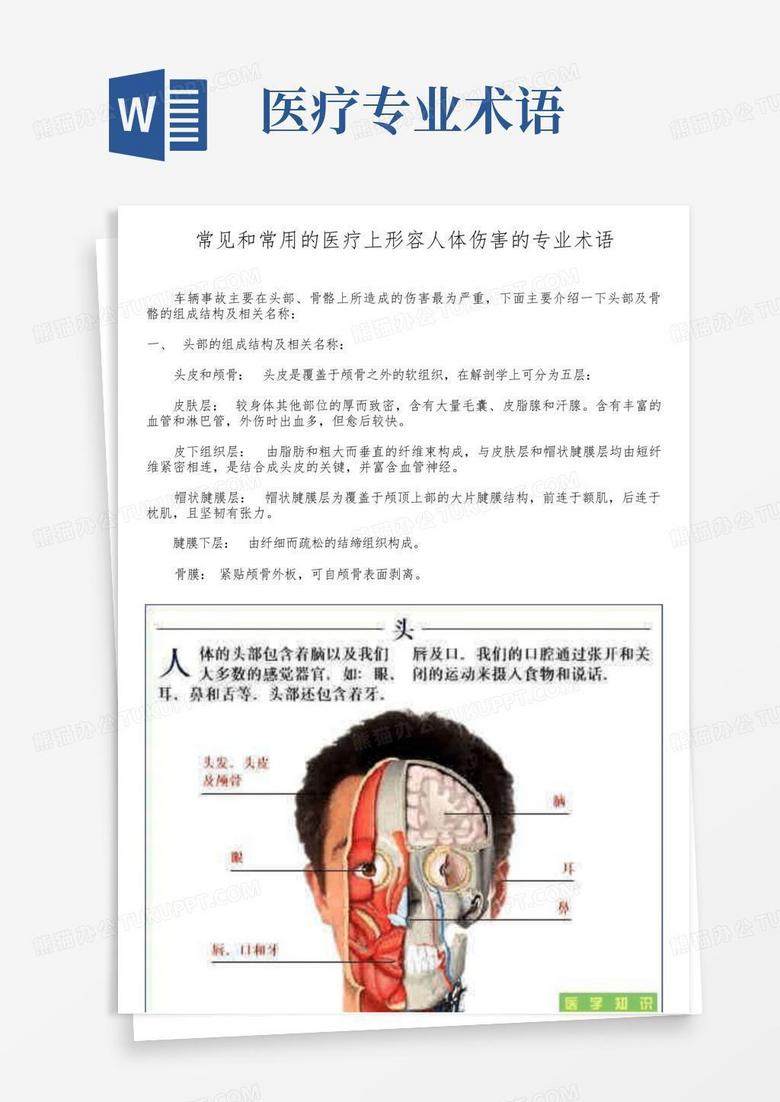 医疗专业术语Word模板下载 编号qbbgpgxa 熊猫办公