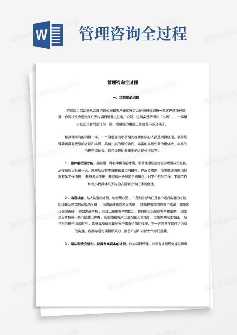 管理咨询全过程Word模板下载 编号qadbpaje 熊猫办公