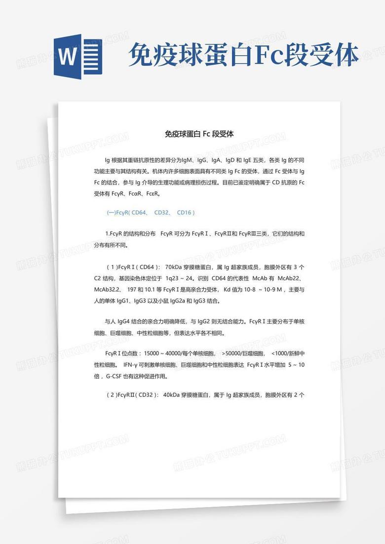 免疫球蛋白fc段受体Word模板下载 编号qrebmome 熊猫办公