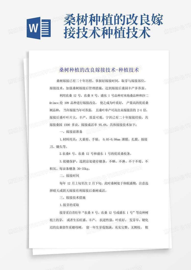 桑树种植的改良嫁接技术种植技术Word模板下载 编号qpaewvxe 熊猫办公