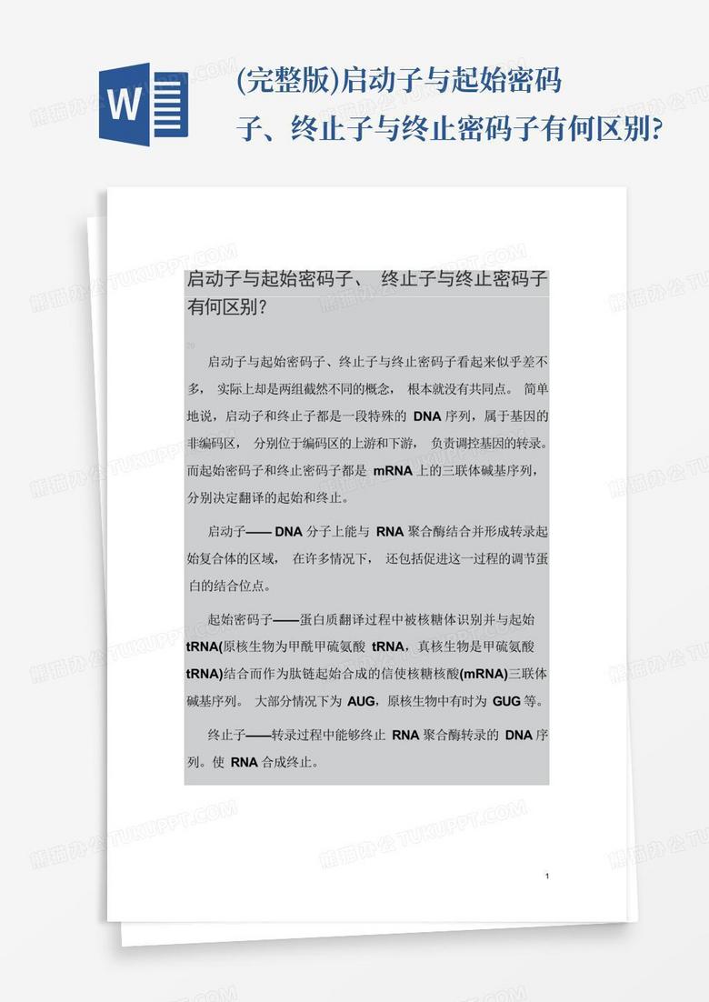 完整版 启动子与起始密码子终止子与终止密码子有何区别 Word模板下载 编号lpanapzy 熊猫办公
