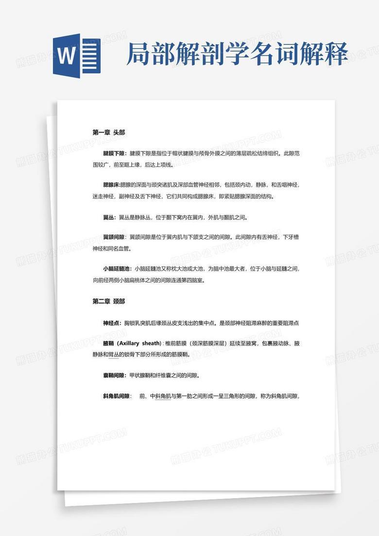 局部解剖学名词解释Word模板下载 编号qaropdne 熊猫办公