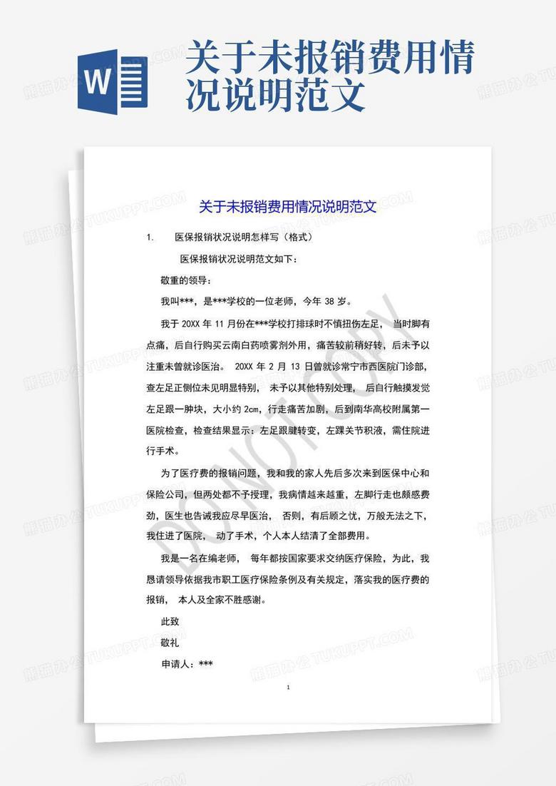 关于未报销费用情况说明范文Word模板下载 编号qmrebdbg 熊猫办公