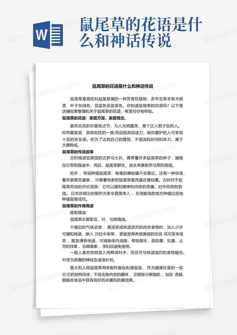 鼠尾草的花语是什么和神话传说Word模板下载 编号lbedworn 熊猫办公
