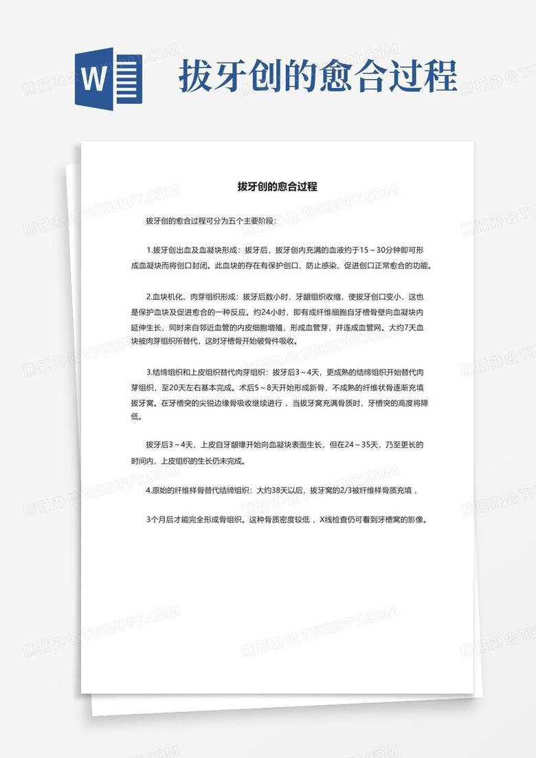 拔牙创的愈合过程Word模板下载 编号qgzpdnrk 熊猫办公