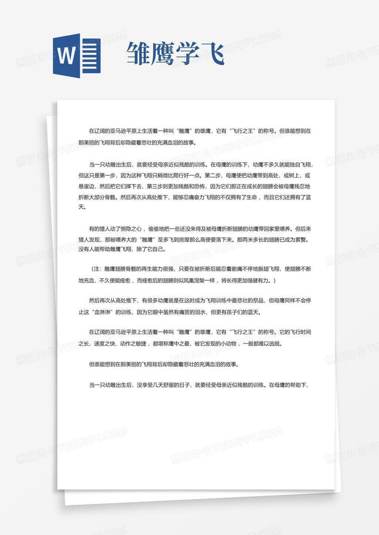 雏鹰学飞Word模板下载 编号lzyrakay 熊猫办公