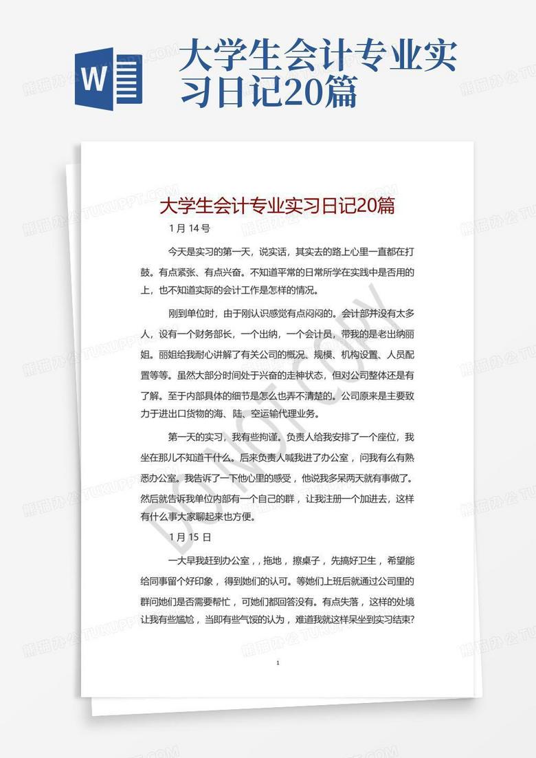 大学生会计专业实习日记20篇Word模板下载 编号qogdzkka 熊猫办公