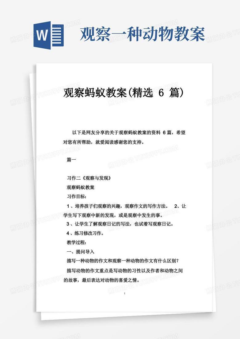 观察蚂蚁教案精选6篇Word模板下载 熊猫办公