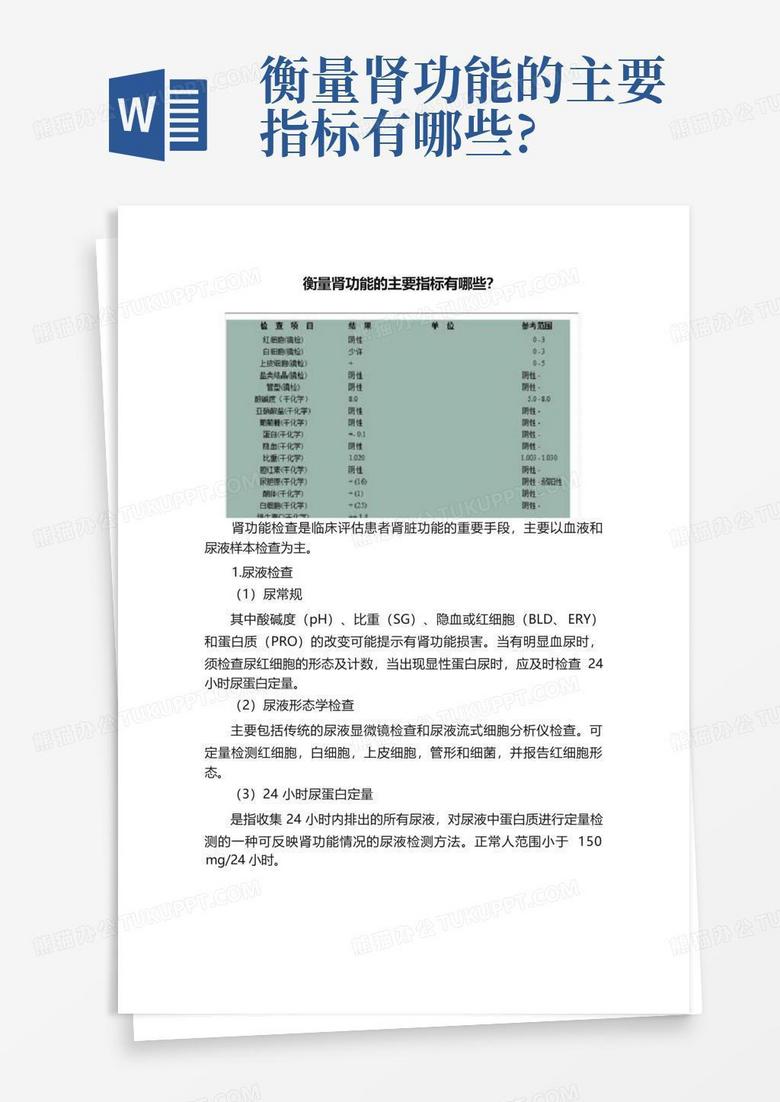 衡量肾功能的主要指标有哪些 Word模板下载 编号qbekrxea 熊猫办公