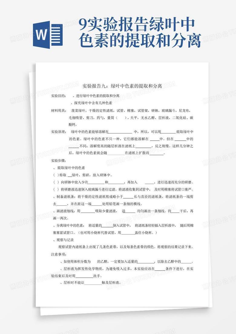 9实验报告绿叶中色素的提取和分离Word模板下载 编号qarndpyb 熊猫办公