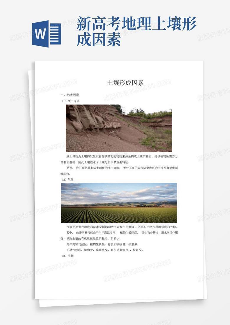 新高考地理土壤形成因素Word模板下载 编号lvxndmma 熊猫办公