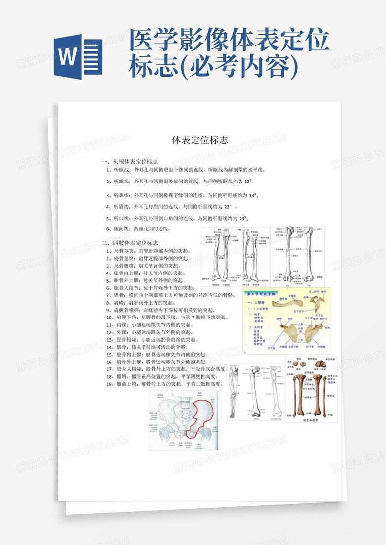 医学影像体表定位标志 必考内容 Word模板下载 编号qojzabzo 熊猫办公