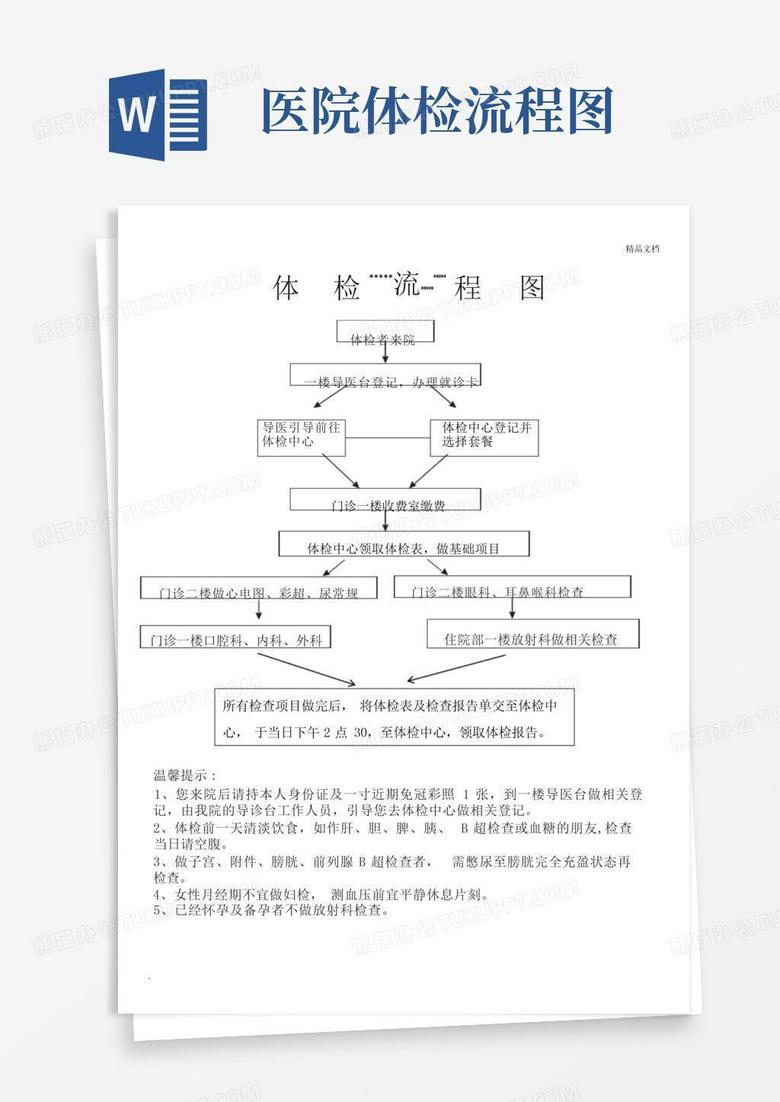 医院体检流程图Word模板下载 编号qwrzeeer 熊猫办公