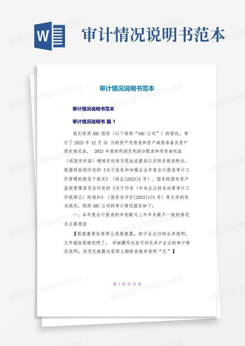 审计情况说明书范本Word模板下载 编号qrzzmawv 熊猫办公
