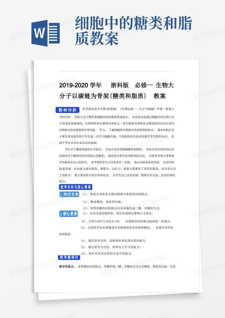 浙科版必修一生物大分子以碳链为骨架 糖类和脂质 教案Word模板下载 熊猫办公
