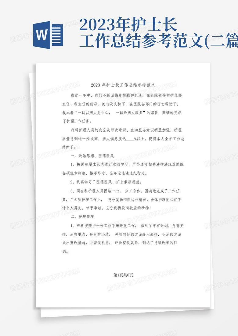 2023年护士长工作总结参考范文 二篇 Word模板下载 编号lojbvmbv 熊猫办公