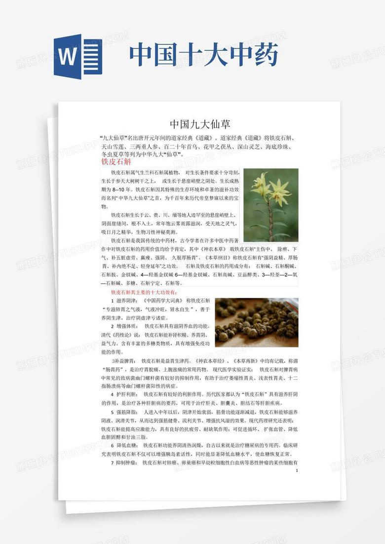 中国十大中药Word模板下载 编号qzgxjjve 熊猫办公