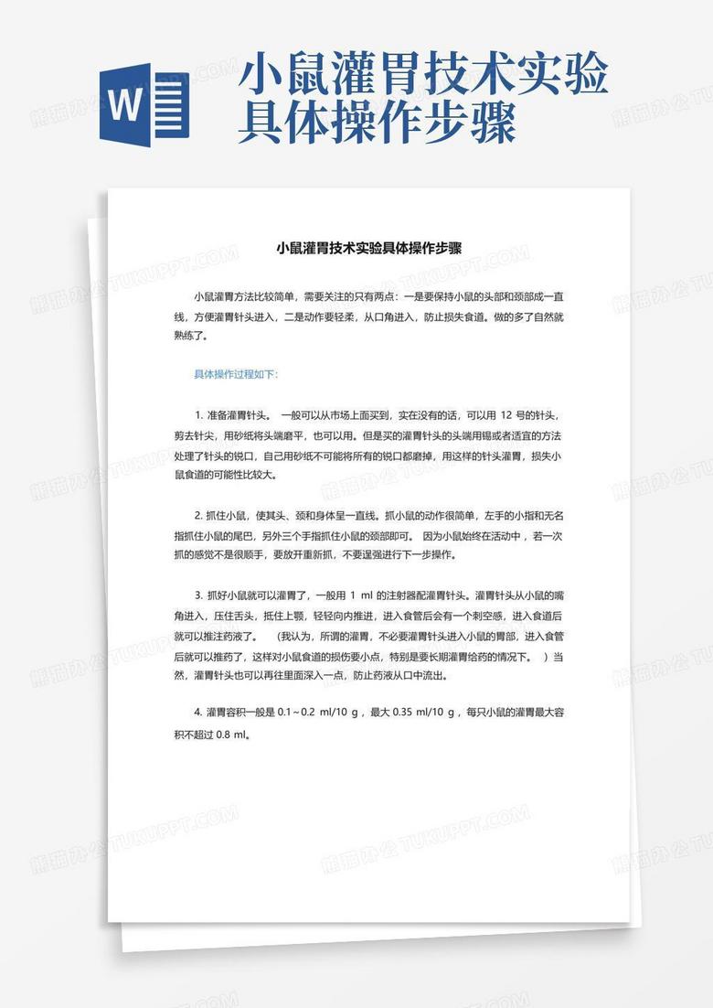 小鼠灌胃技术实验具体操作步骤Word模板下载 编号qrzemvve 熊猫办公