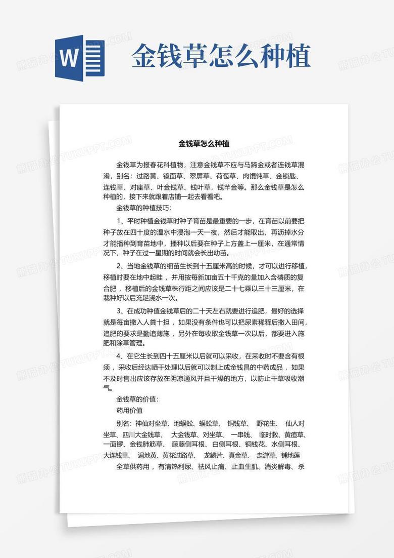 金钱草怎么种植Word模板下载 编号qgbdjebo 熊猫办公