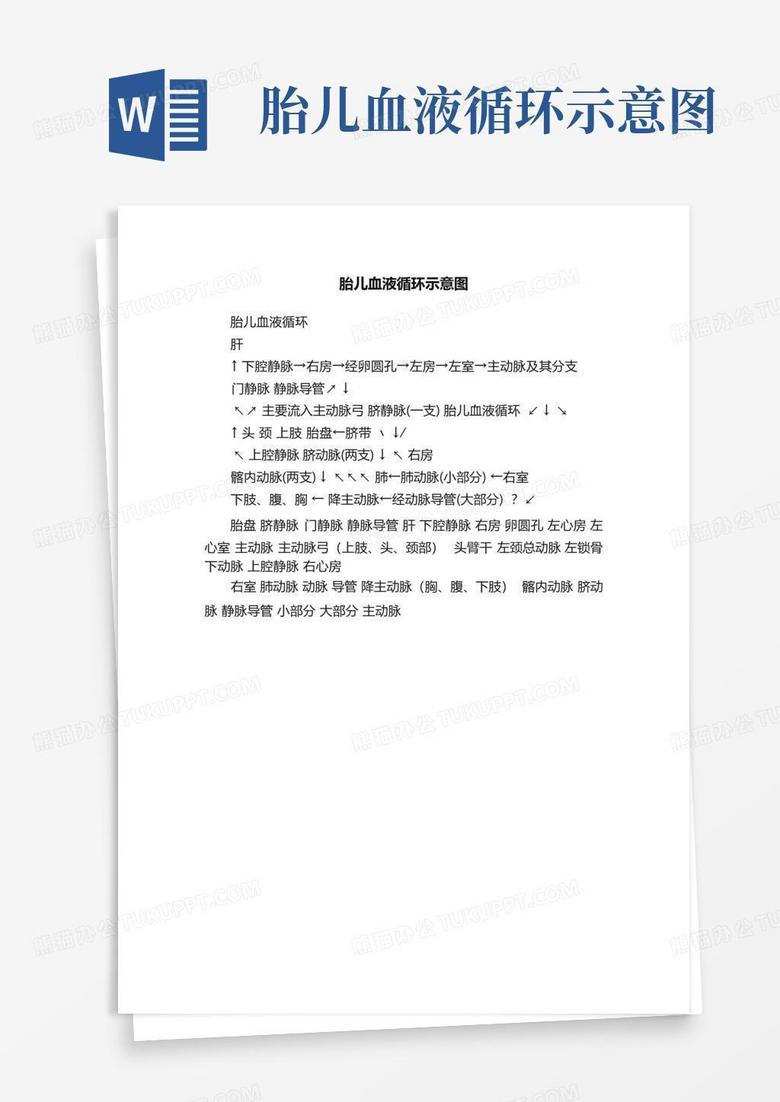 胎儿血液循环示意图Word模板下载 编号ljeggyod 熊猫办公