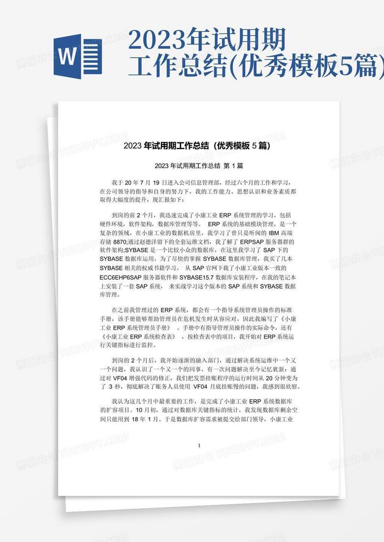 2023年试用期工作总结 优秀5篇 Word模板下载 编号lpmjevag 熊猫办公
